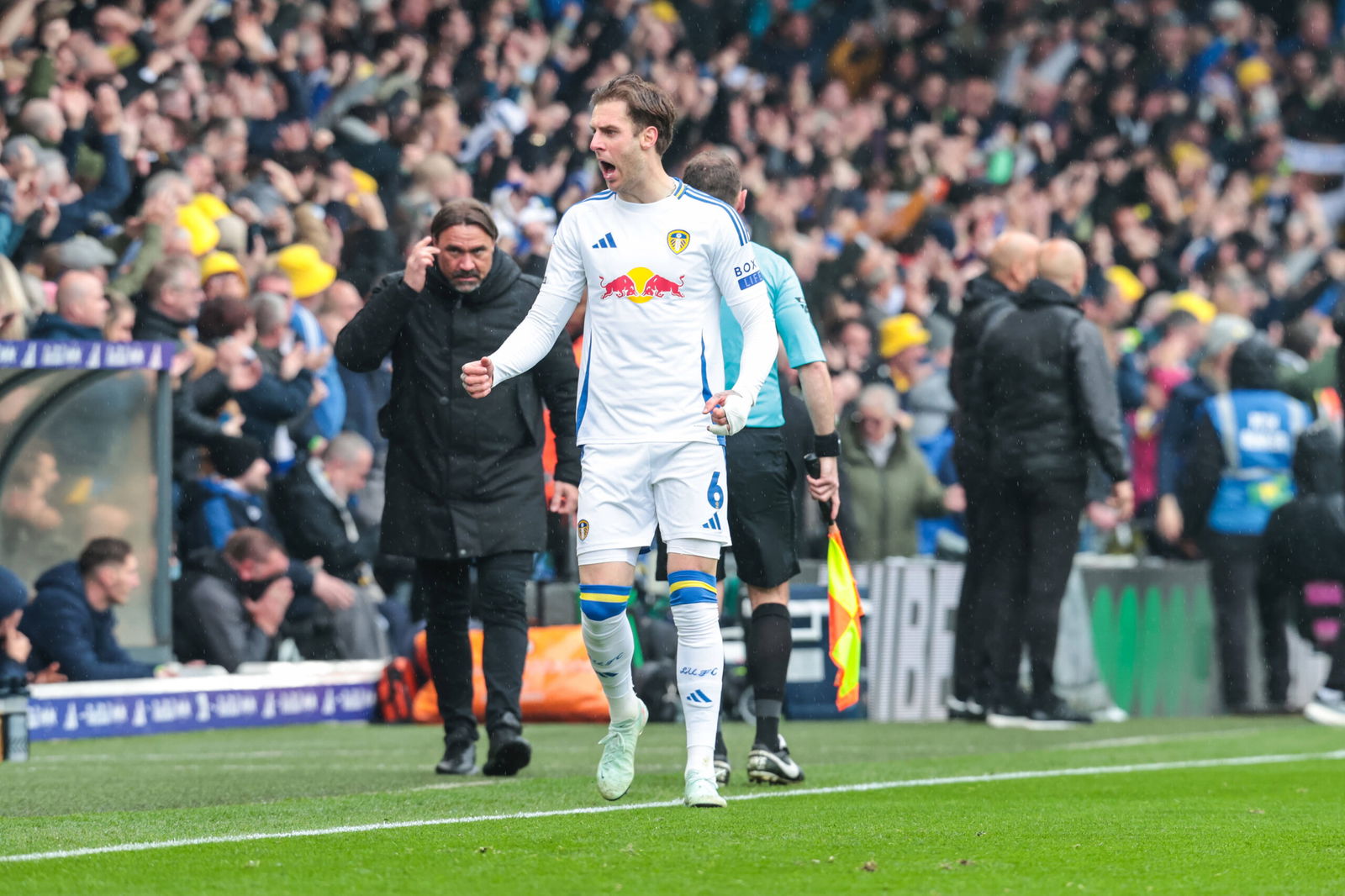 Daniel Farke tipped to make shock decision - Leeds United signings to make an impact - The Leeds ...