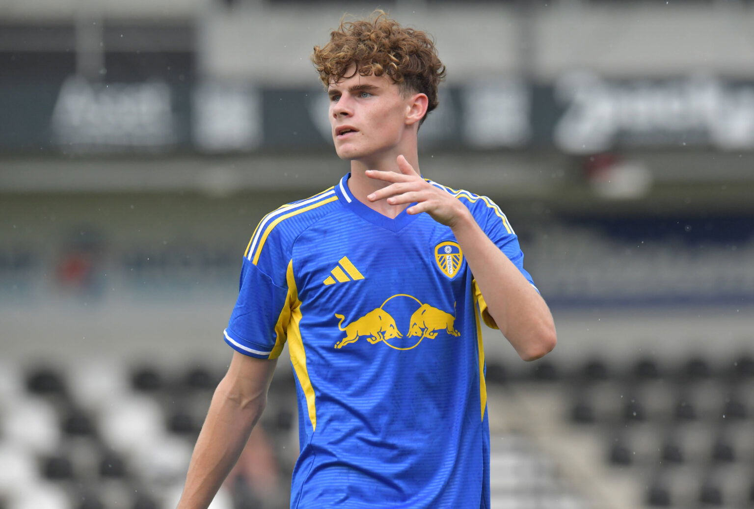 What has been said about Harry Gray as Leeds United set to make ...