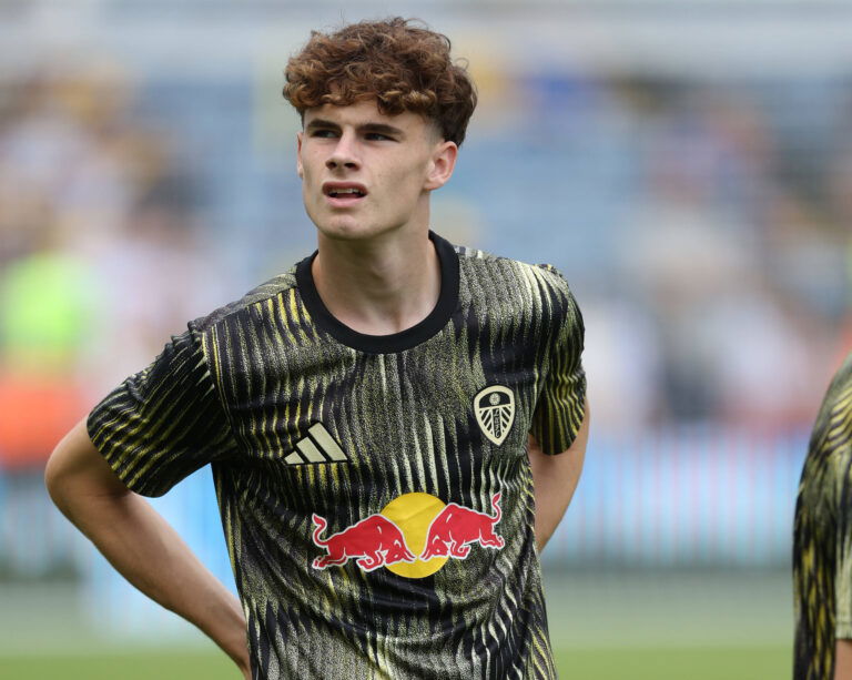What has been said about Harry Gray as Leeds United set to make ...